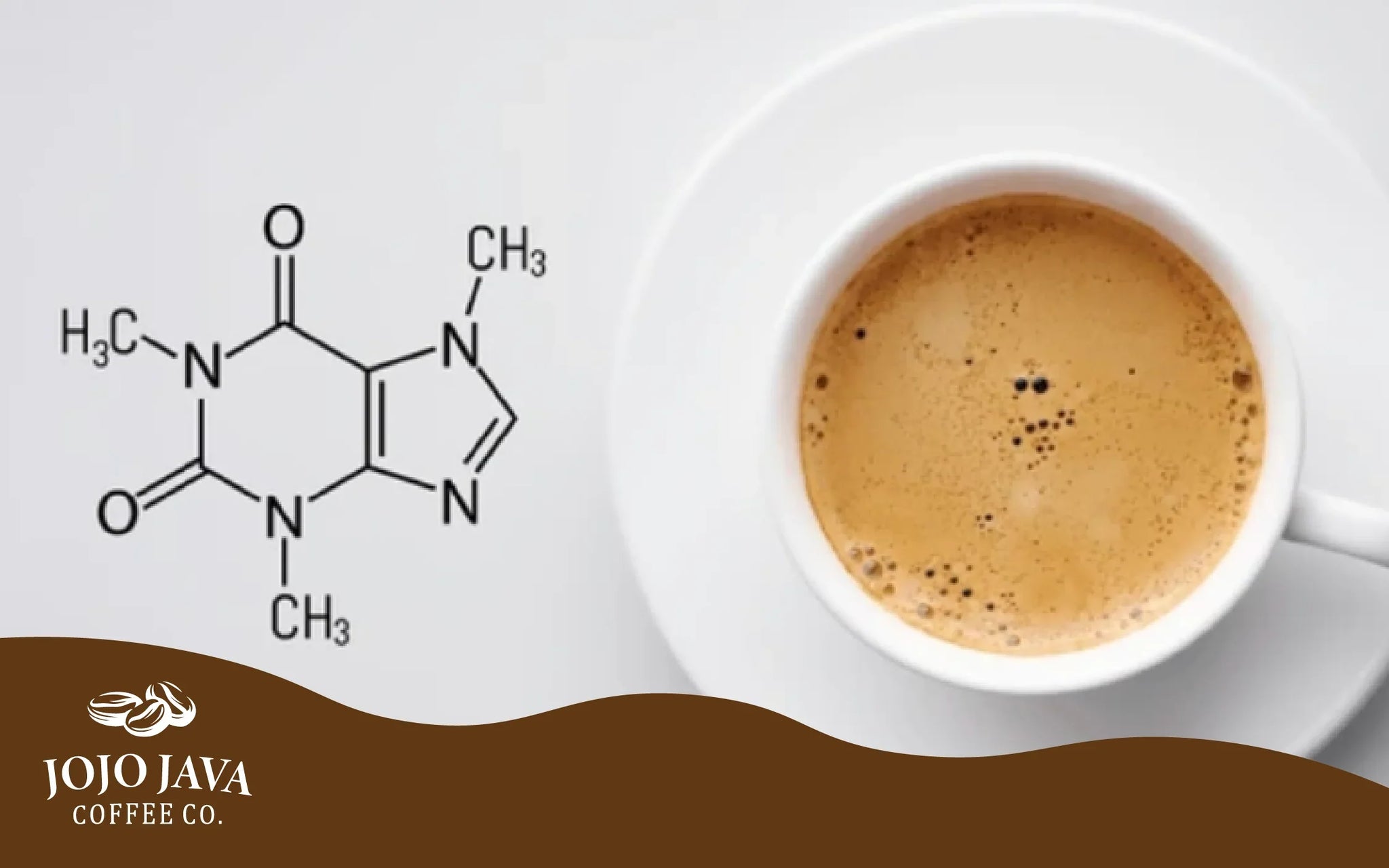 JOJO JAVA What Is Molecular Coffee? (Seriously.... Asking for a Friend)